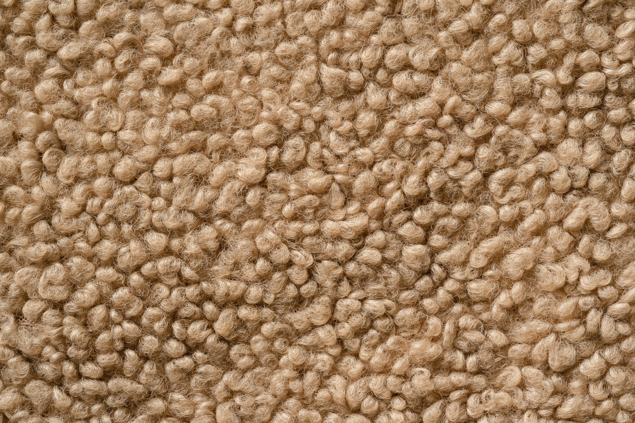 Latest Soft Rugs : Your First Step to Sustainability -2023